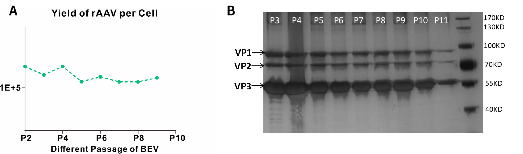 One-Bac 4.0 System--Technology Platform